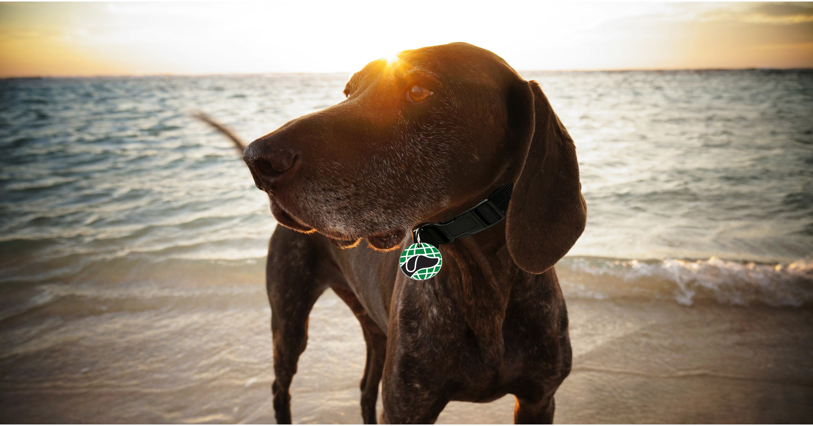 BioPet Laboratories Takes Next Step to Protect Pets and Environment ...