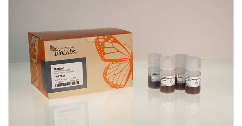 Earlham Institute Taps New England Biolabs® to Tackle RNA from ...