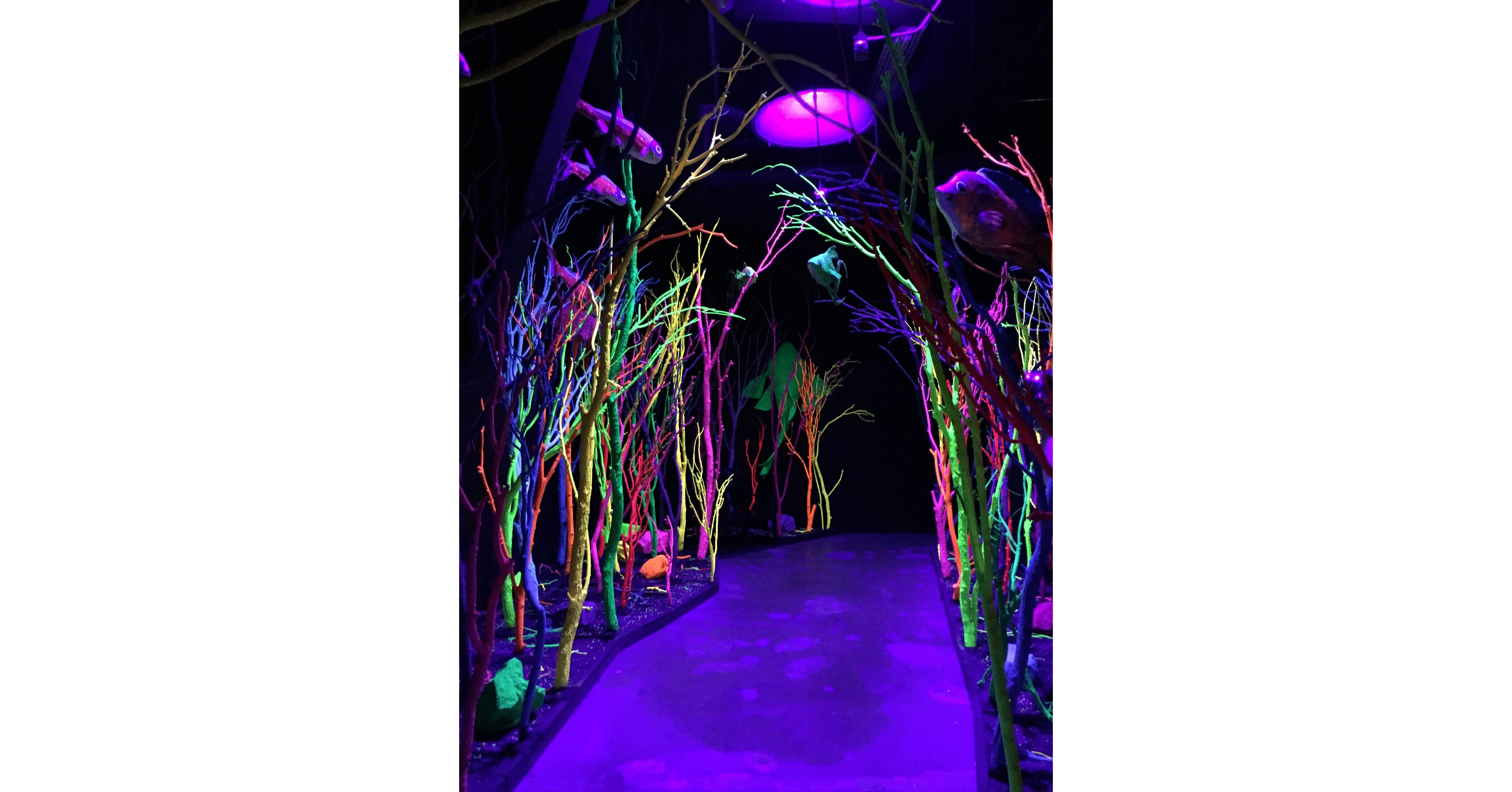 Creative Startups -- The World's Leading Accelerator For Creatives such ...