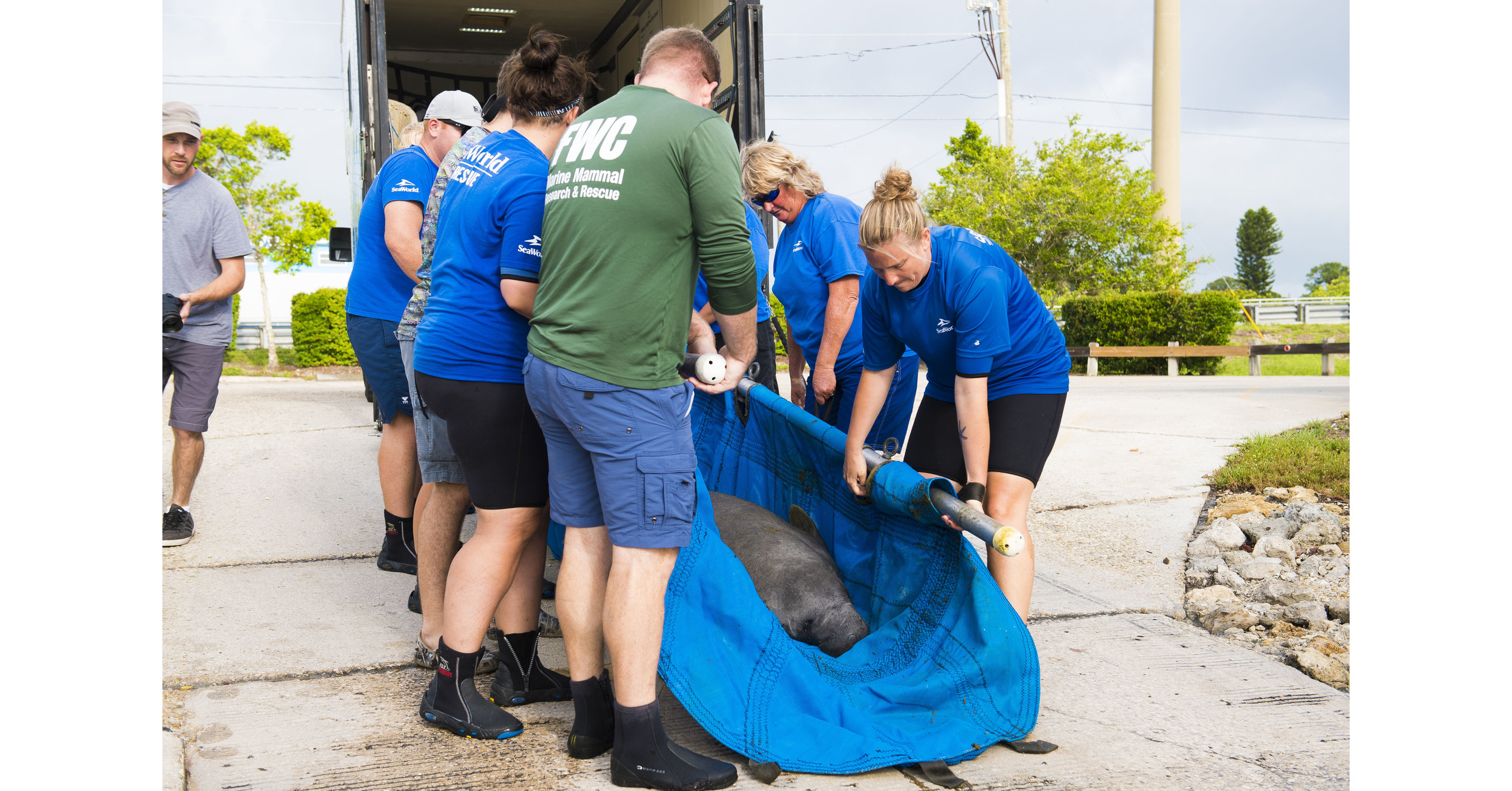 World Oceans Day Spotlights The Impact Of Marine Debris On Animals ...