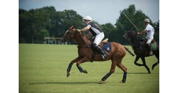 Southern Spring Farm Commences Summer Polo Season This Friday