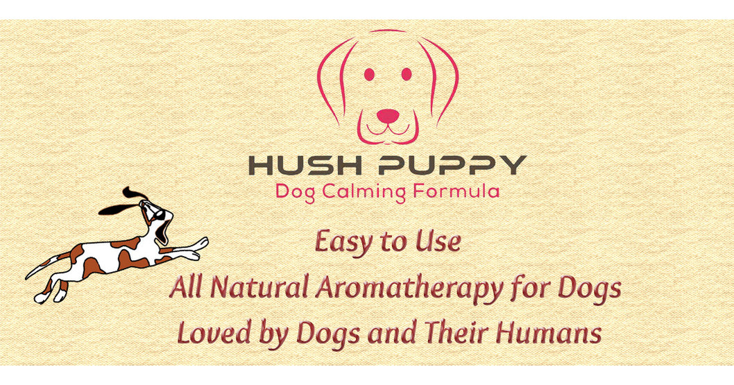 The Latest Trend in Dog Care: Aromatherapy for Dogs