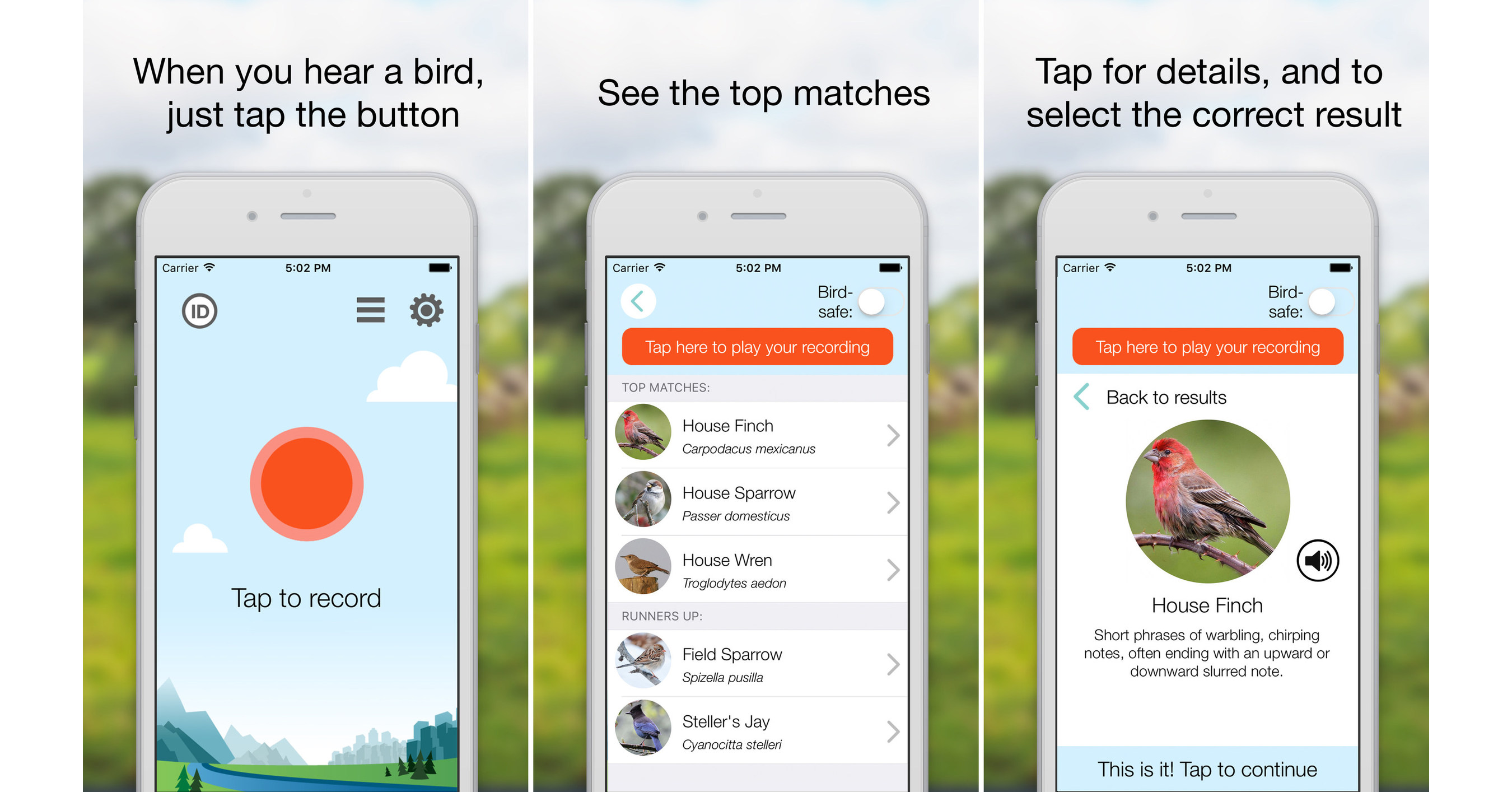 A Seamless Blend of Technology and Nature − Bird Song Identifier App ...