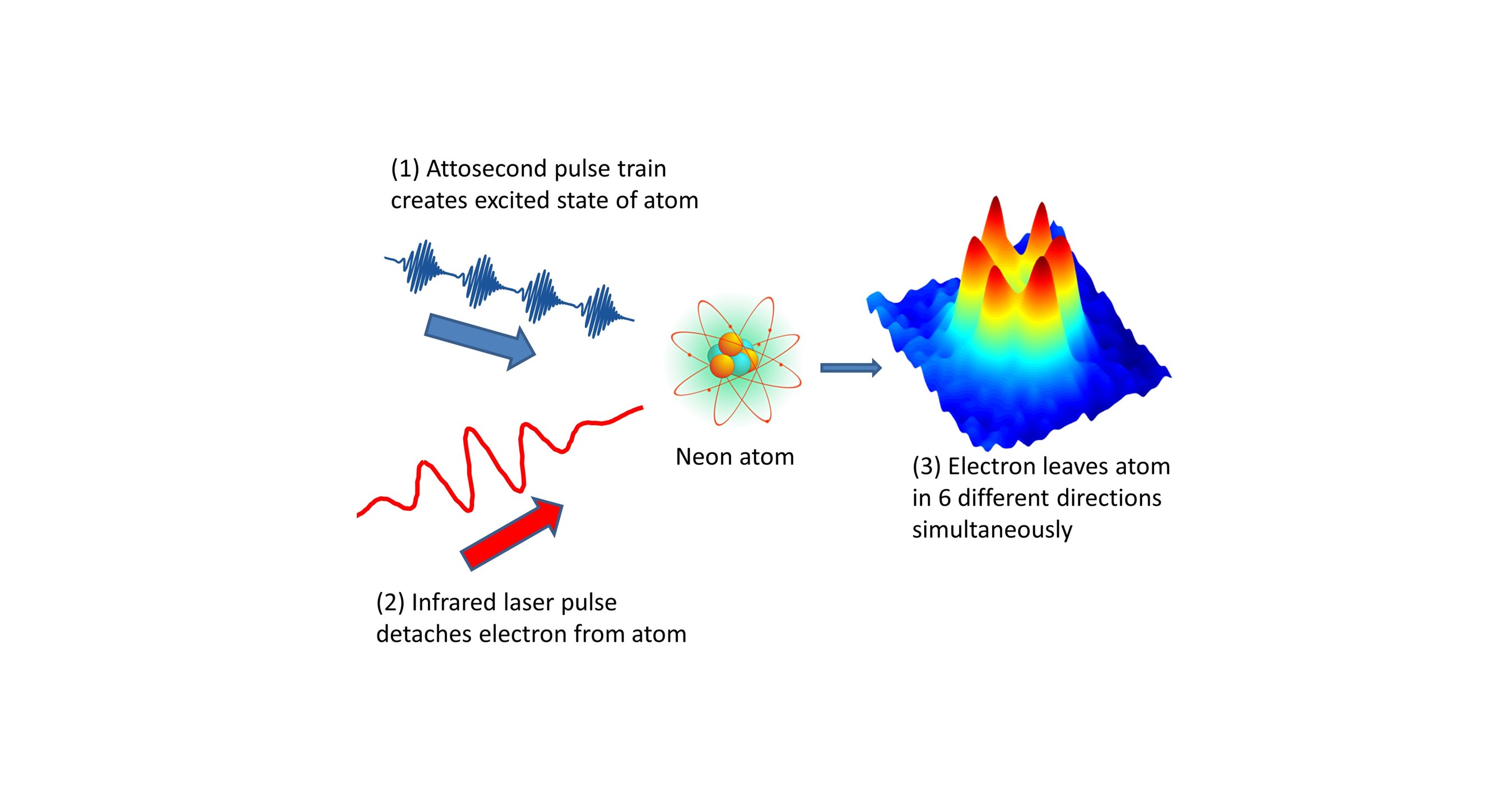 The NRC and uOttawa capture the first-ever holographic images of the ...