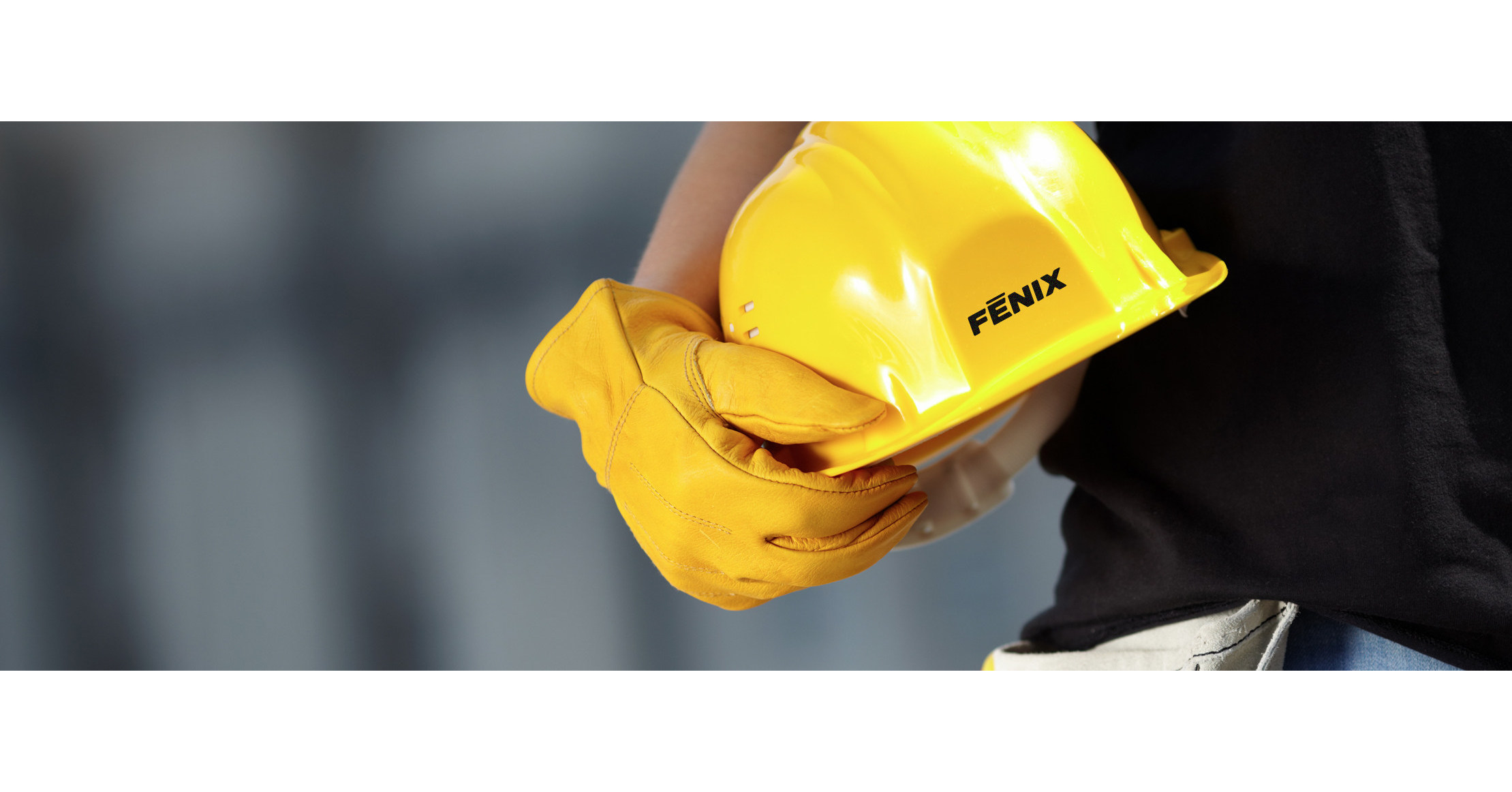 Fēnix Energy Launches Operations and Maintenance Solution, Turning ...