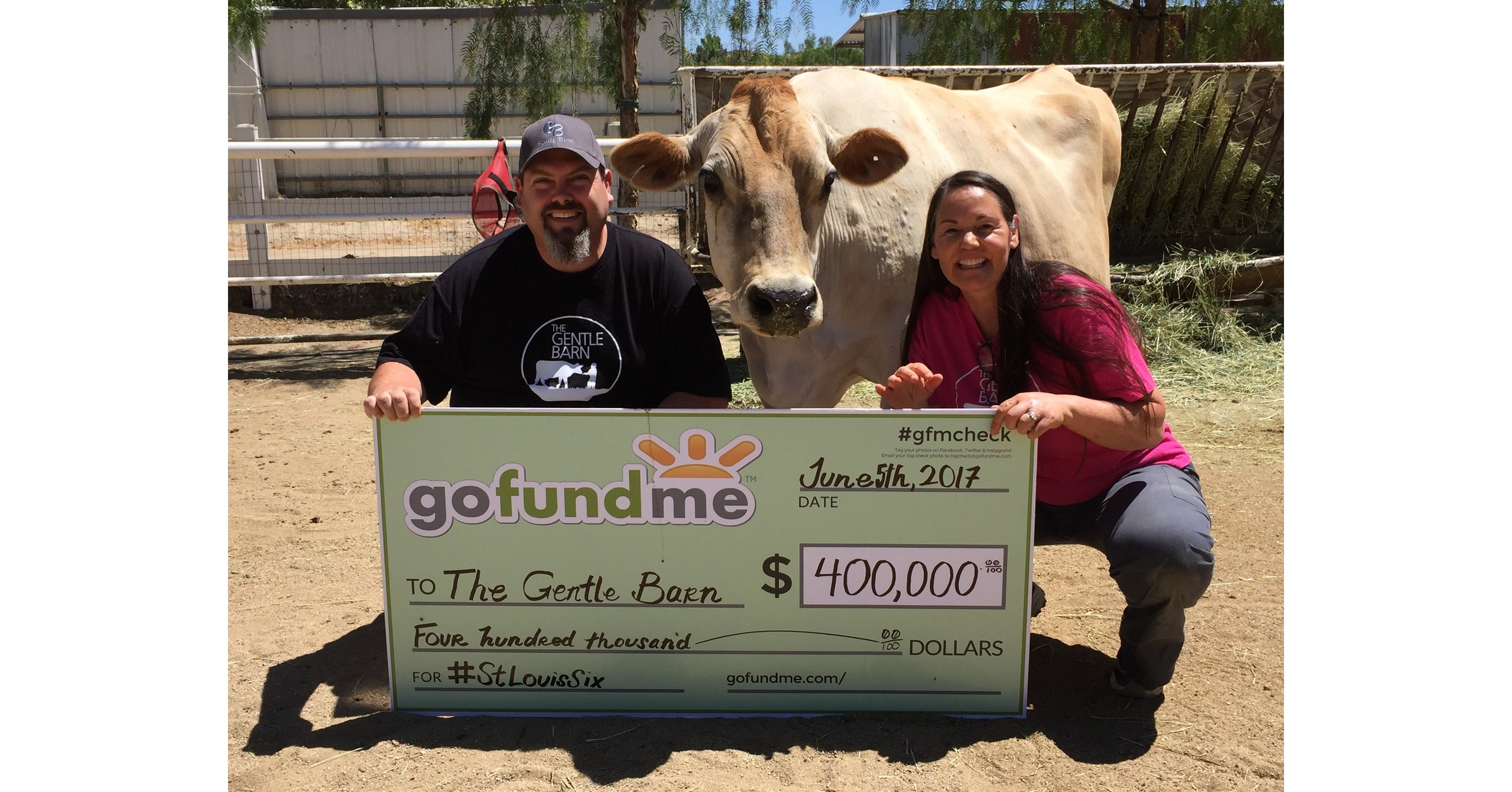 The Gentle Barn Moves Forward in St. Louis