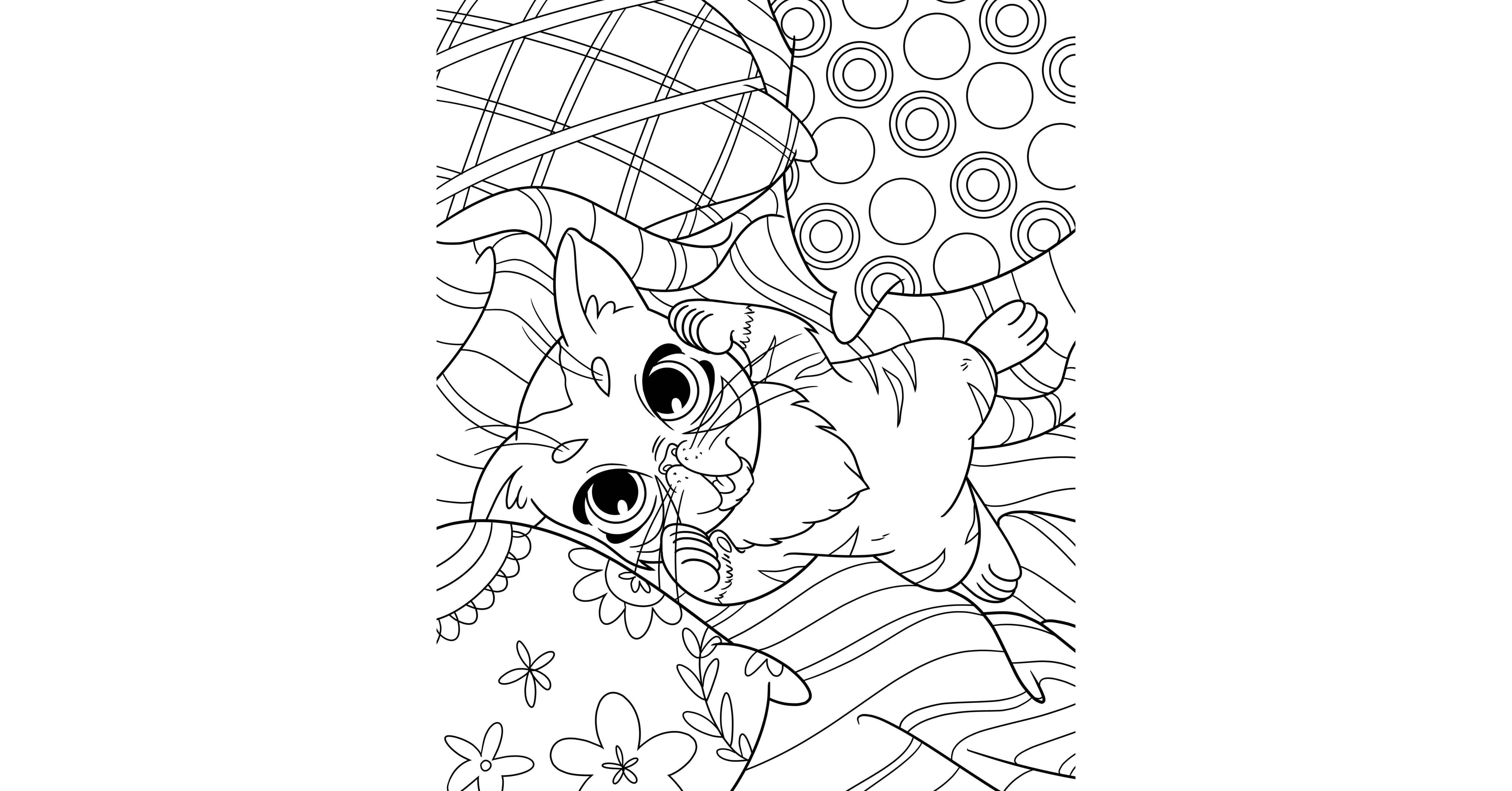 Love Lil BUB? Today For Her 6th Birthday, Dabel Brothers and Space Goat ...