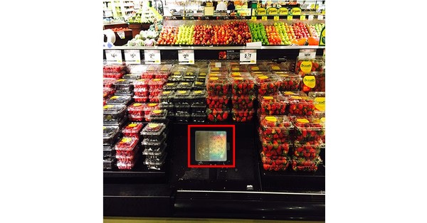 Natures Frequencies with The Food Freshness Card Achieves Food ...