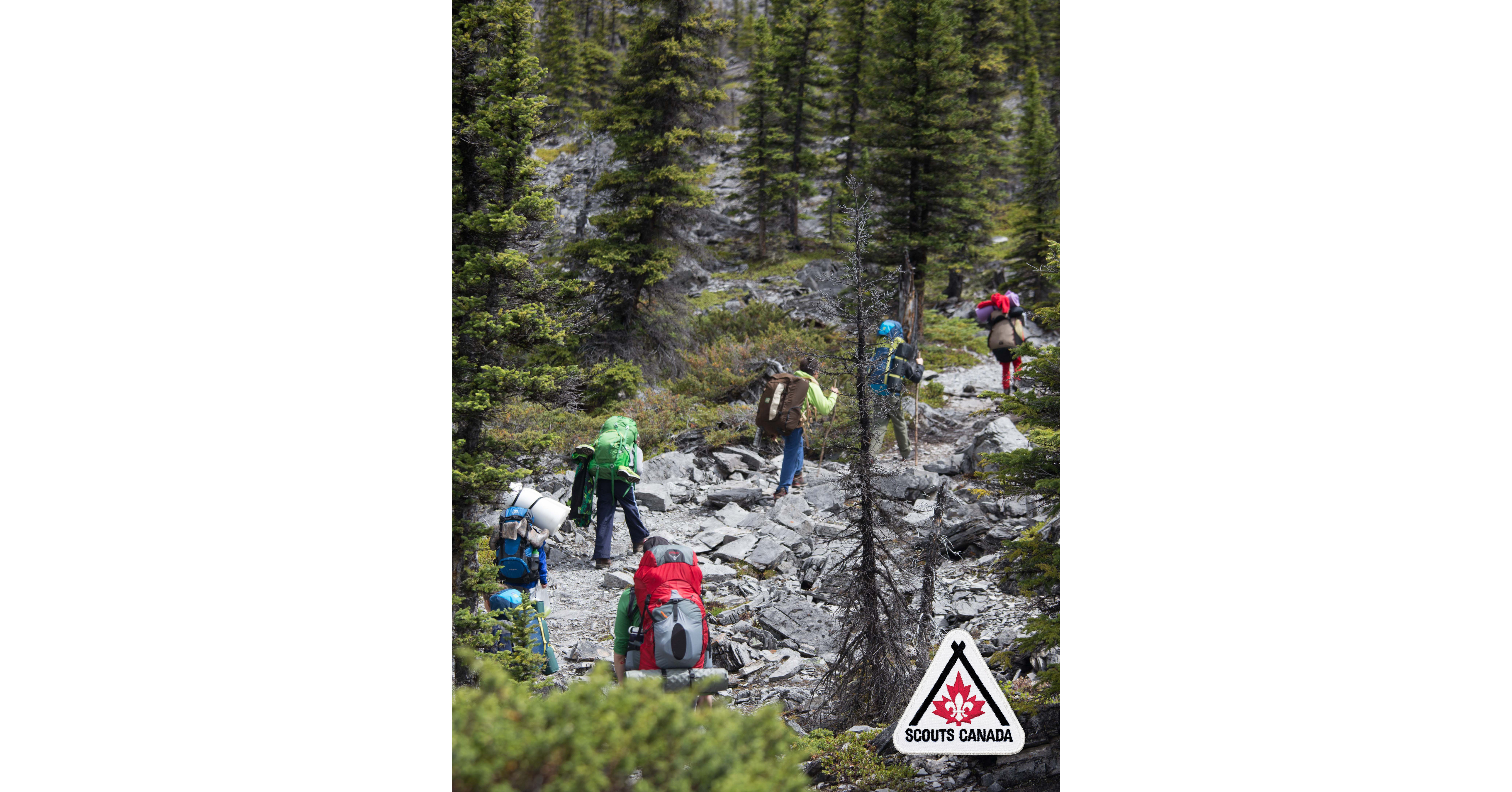 Animal Encounters 101: Scouts Canada's Top 10 Tips For Safely Exploring ...