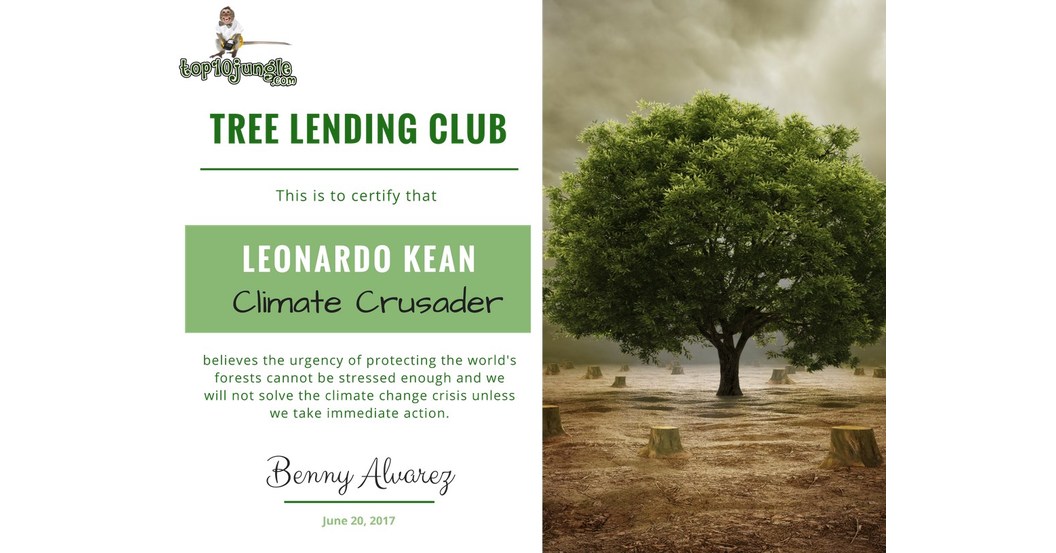 Tree Lending Club and Top10Jungle.com Announce Free Debt Consolidation ...