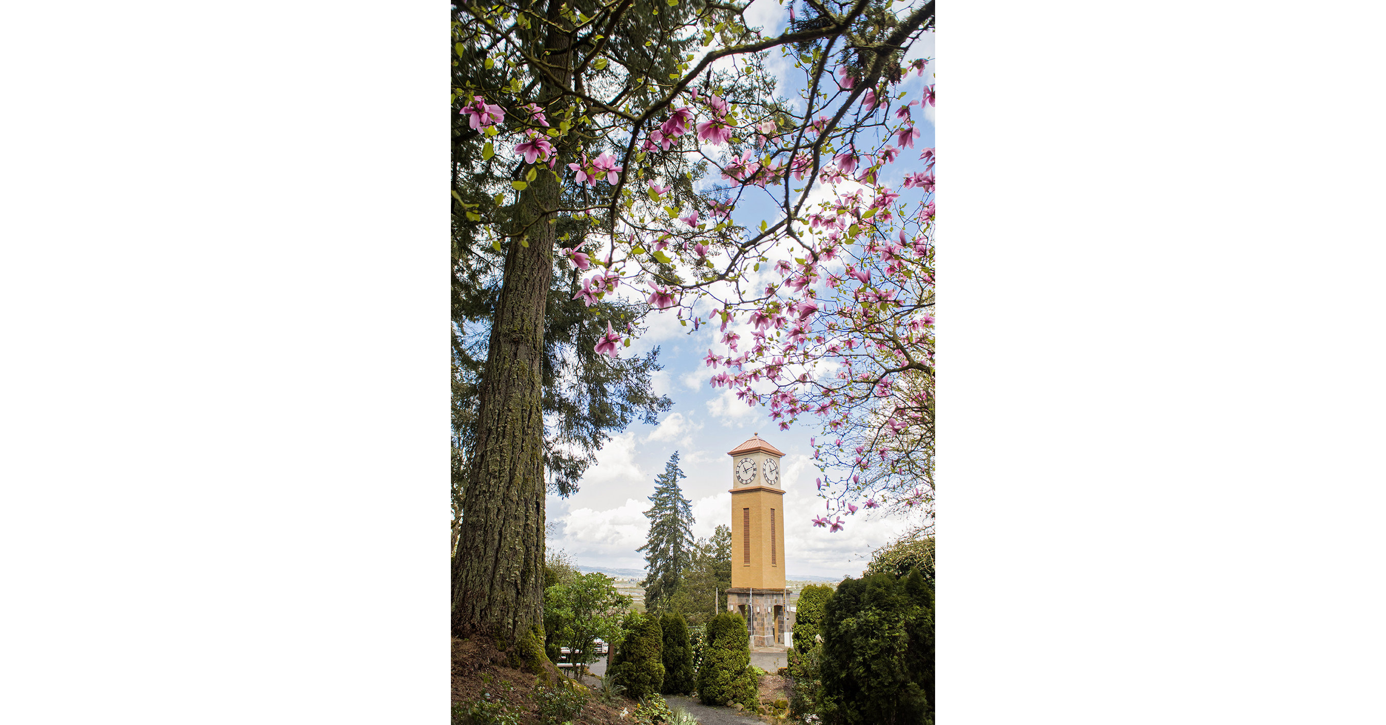 Corban University nationally recognized as a College of Distinction