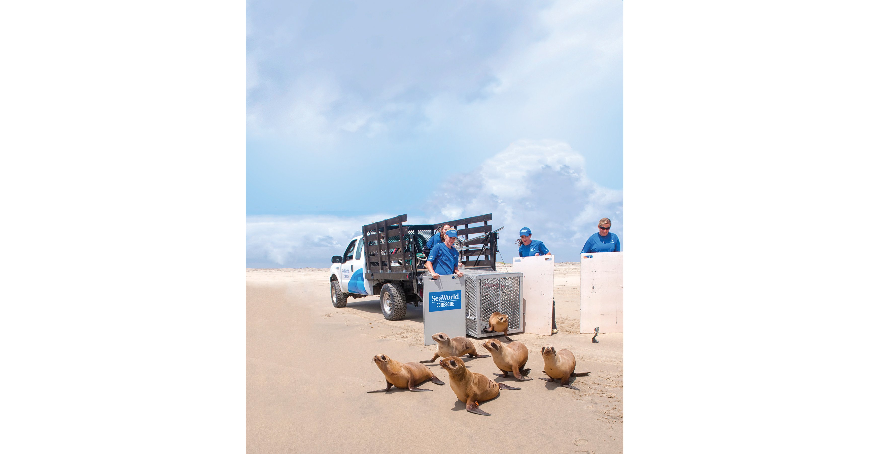 SeaWorld Entertainment Releases 2016 Corporate Responsibility Report
