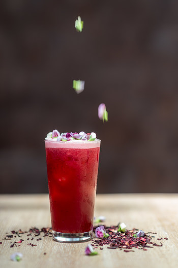 Pure Leaf Tea House Experience Opens in New York City