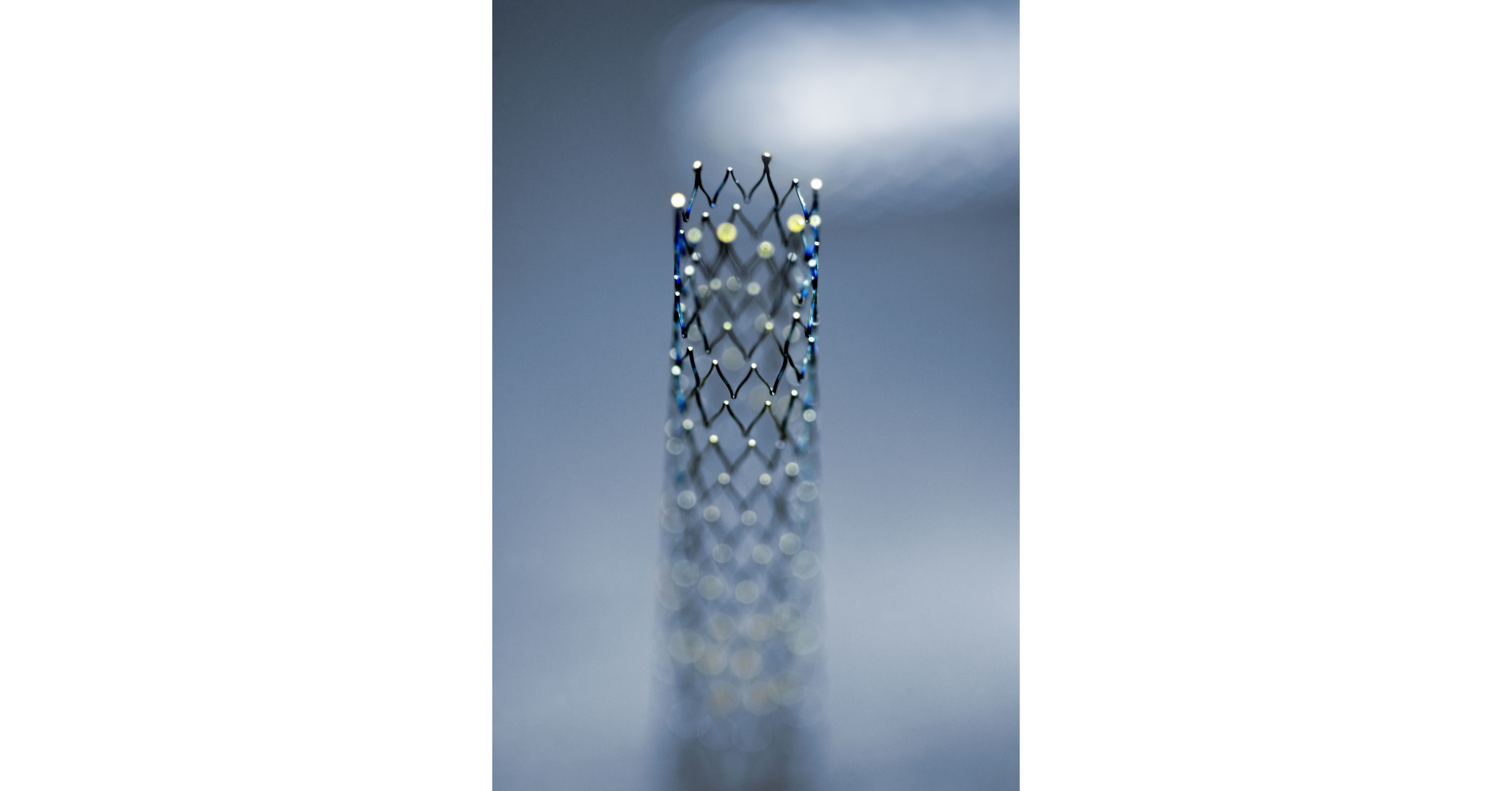 BIOTRONIK US Announces Pivotal Trial Results of the Pulsar-18 Stent ...