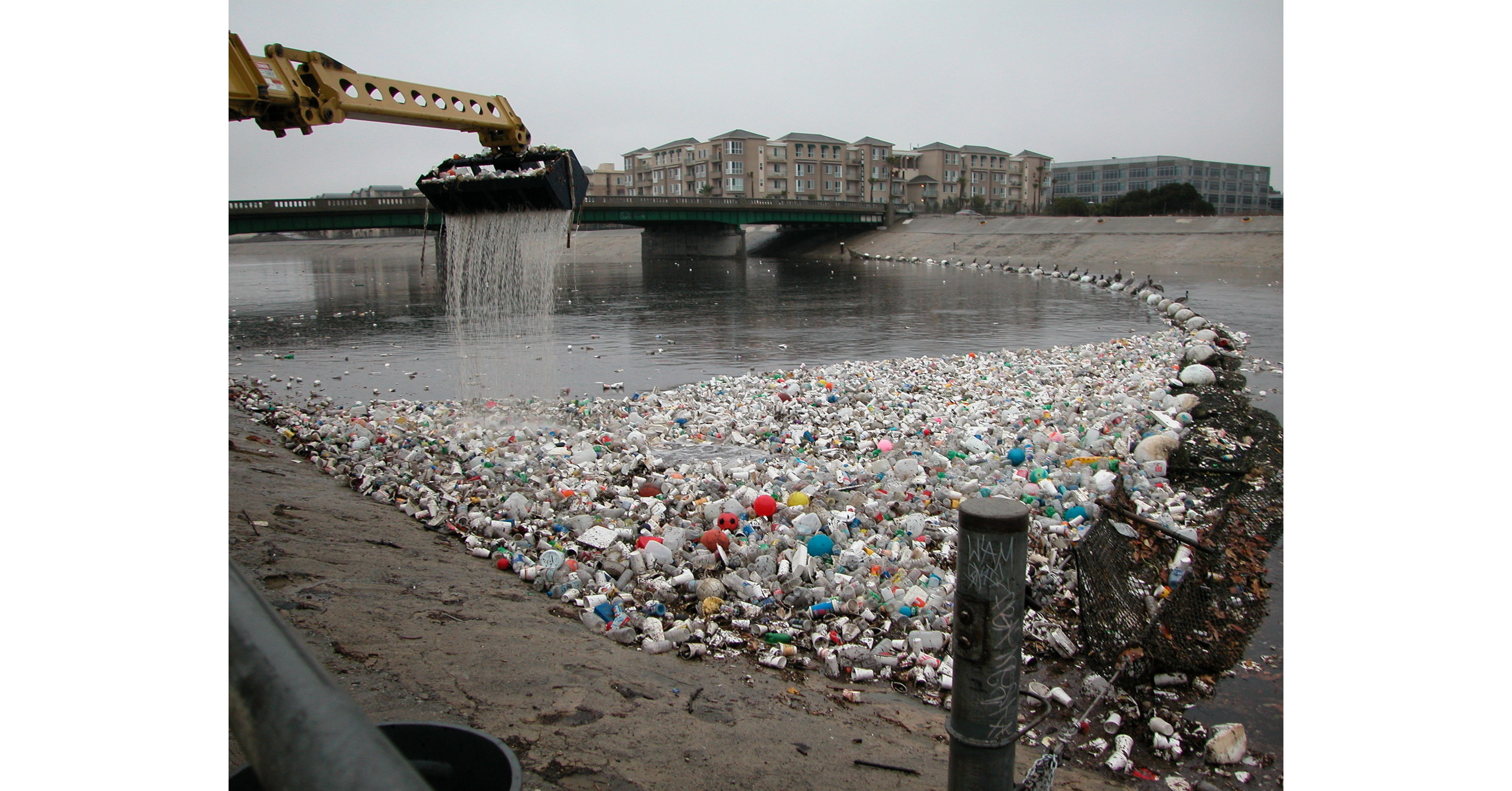 Nineteen Top US Aquariums Join Forces To Tackle Growing Plastic ...