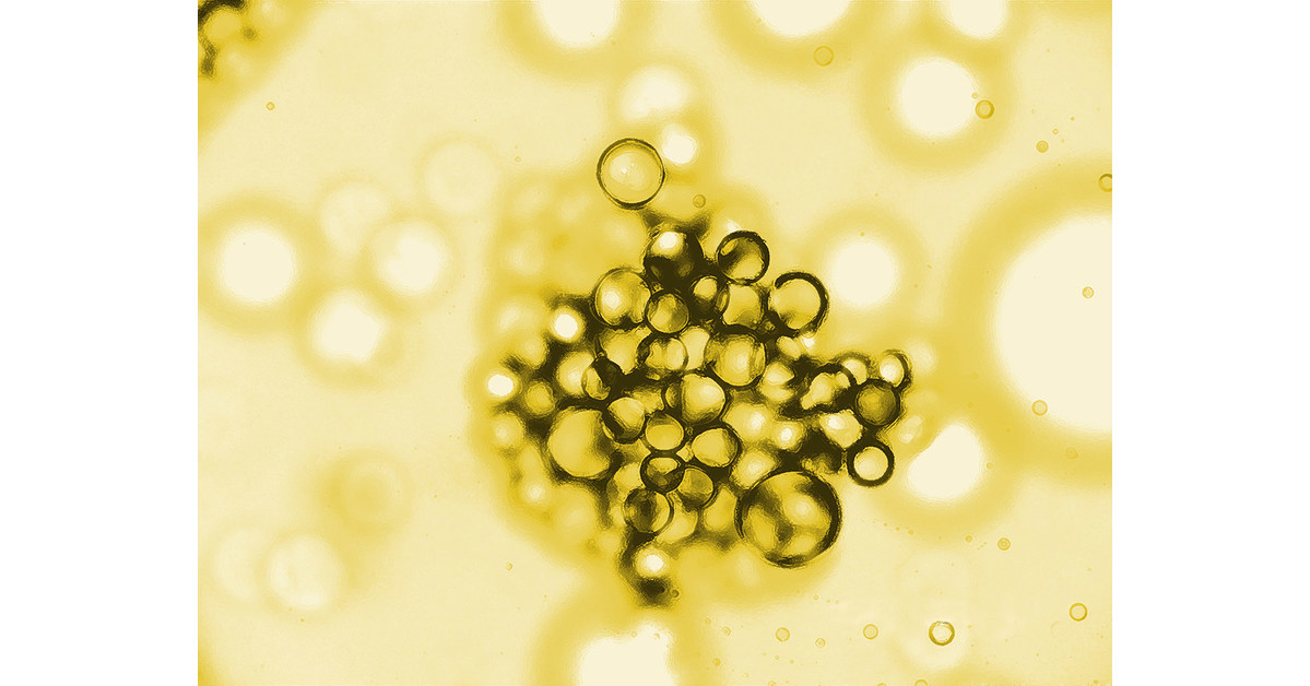 New Prospective, Randomized Controlled Study Compares The Safety And ...