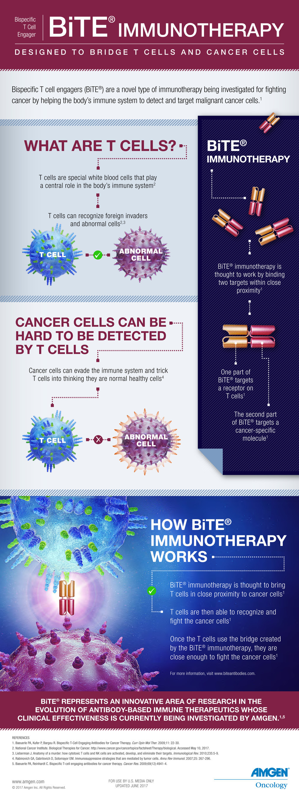 FDA Grants Full Approval for BLINCYTO® (blinatumomab) to Treat Relapsed ...