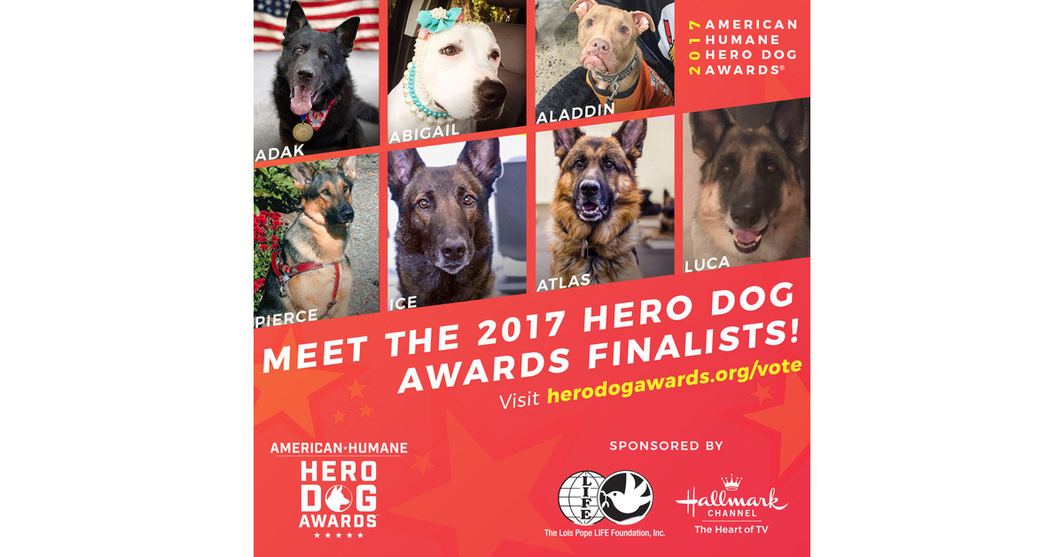 Meet America's Top Dogs! Seven Courageous Canines Named Finalists For ...