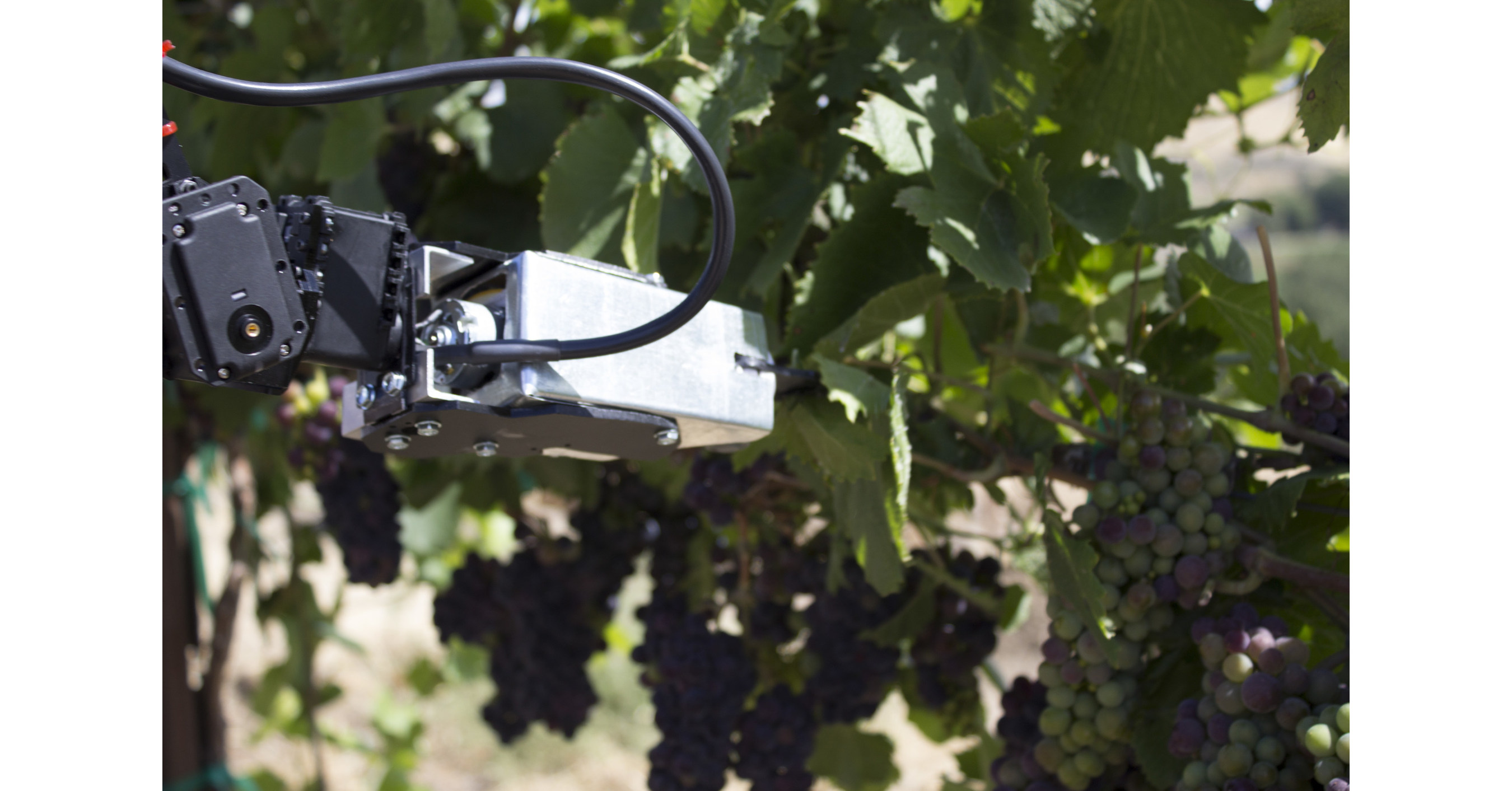 Vineyard Robot Prototype to Debut at FutureFarm Expo in Oregon