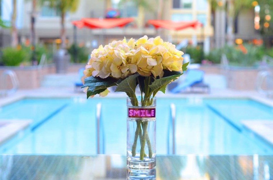 TechCentrix To 'Light Up' All American Label With Adaptable Universal ...