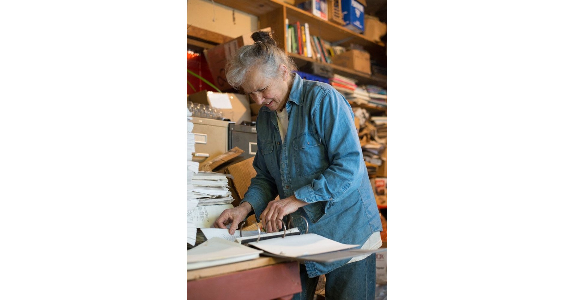 The Gemstone File Made Available To The Public