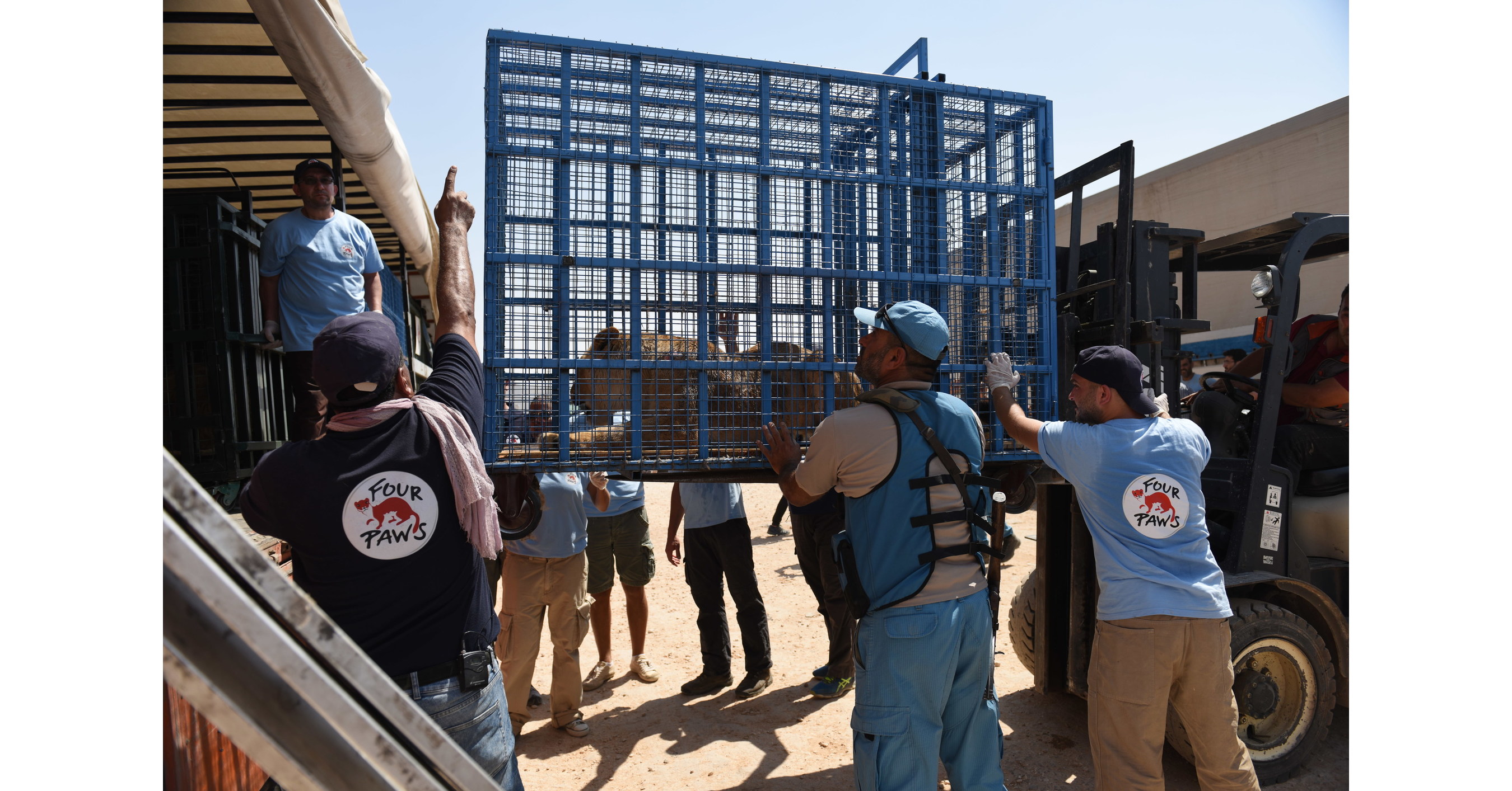 FOUR PAWS International Rescue Team completes first half of harrowing ...