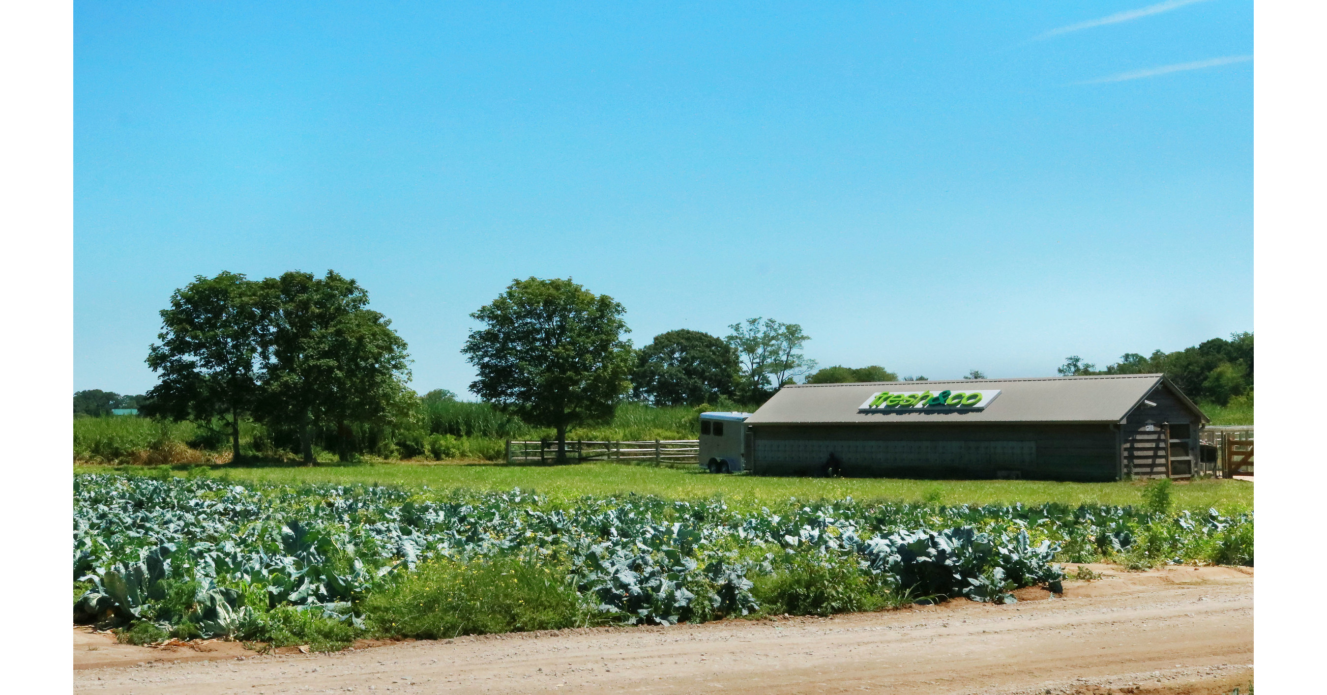 fresh&co acquires a 35-acre farm on the North Fork of Long Island