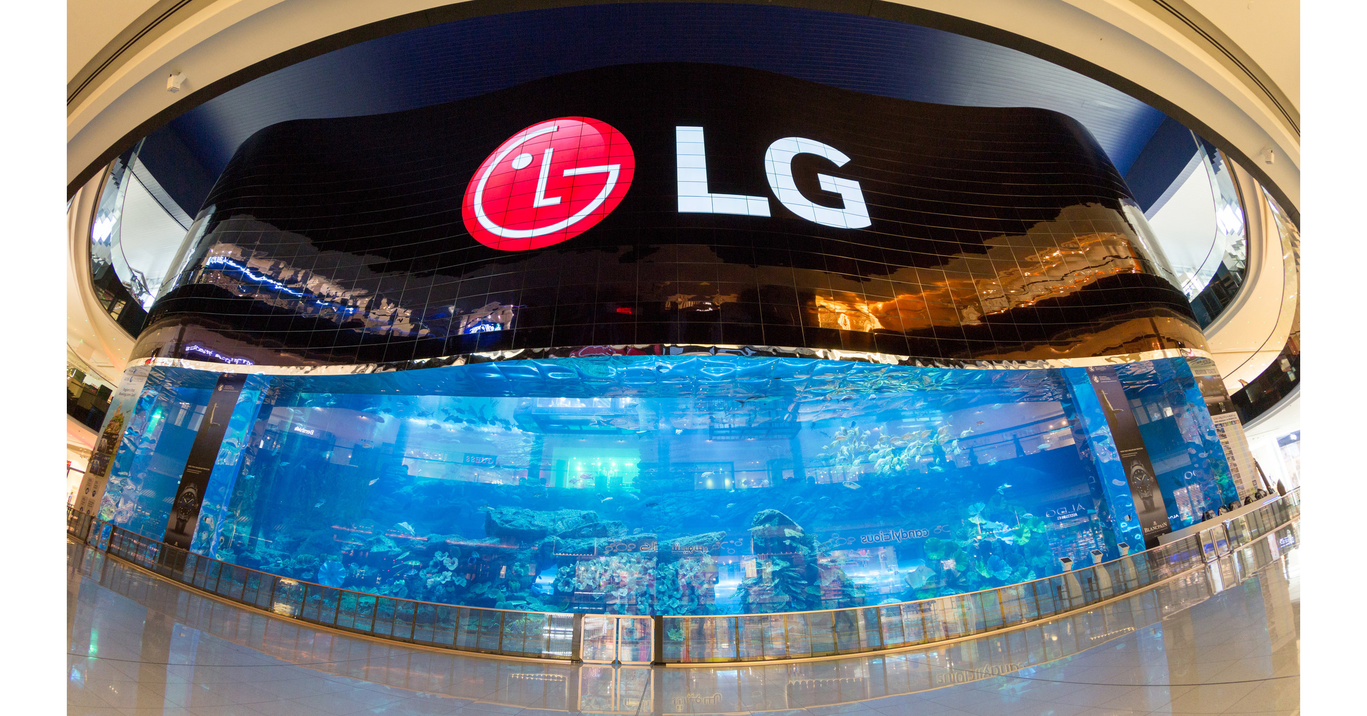 LG Unveils World's Largest OLED Screen