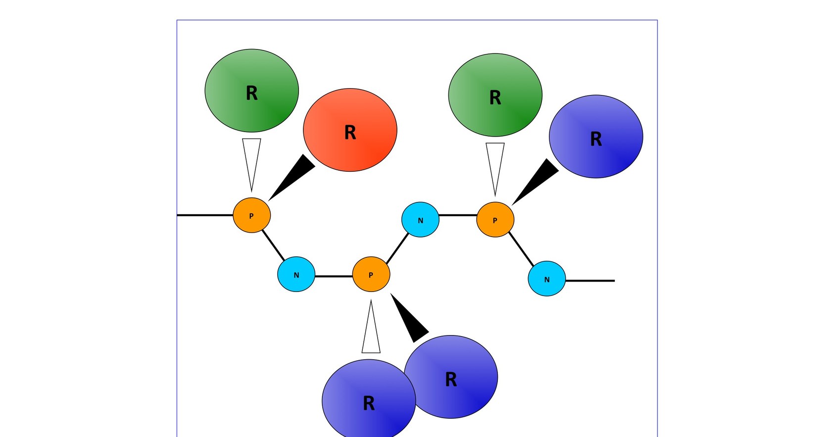 Exploring Biomedical Applications of Multifunctional Polyphosphazenes