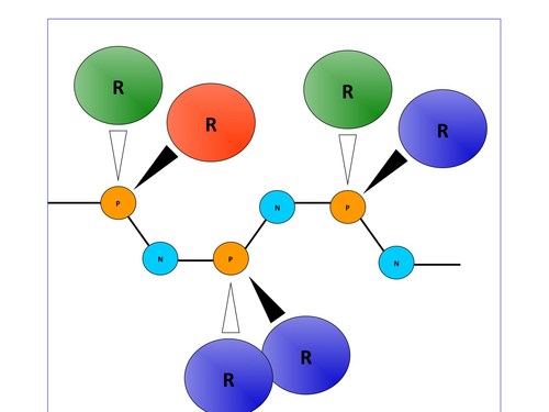 Exploring Biomedical Applications of Multifunctional Polyphosphazenes