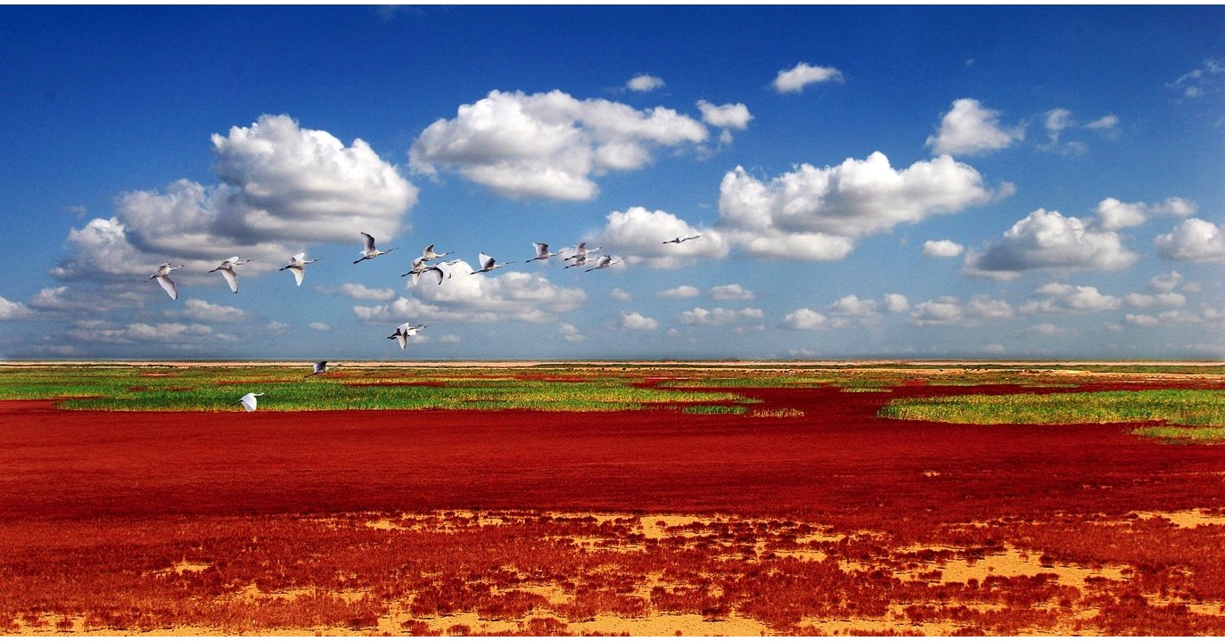 Find The Roots of Chinese Culture - Visit The Mother River kicks off in ...
