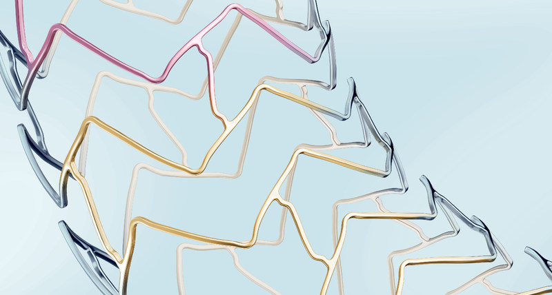 ESC Congress 2017: BIOTRONIK’s Orsiro Drug-Eluting Stent Outperforms ...