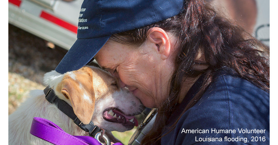 Help is on the Way! American Humane Rescue Team Rushing to Help Animals ...