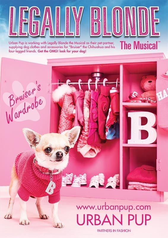 Official Show Partner UrbanPup to Dress Bruiser the Chihuahua for the ...