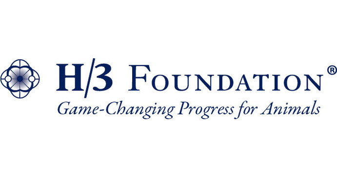 H/3 Foundation and Anjellicle Cats Rescue Partner to Save and ...