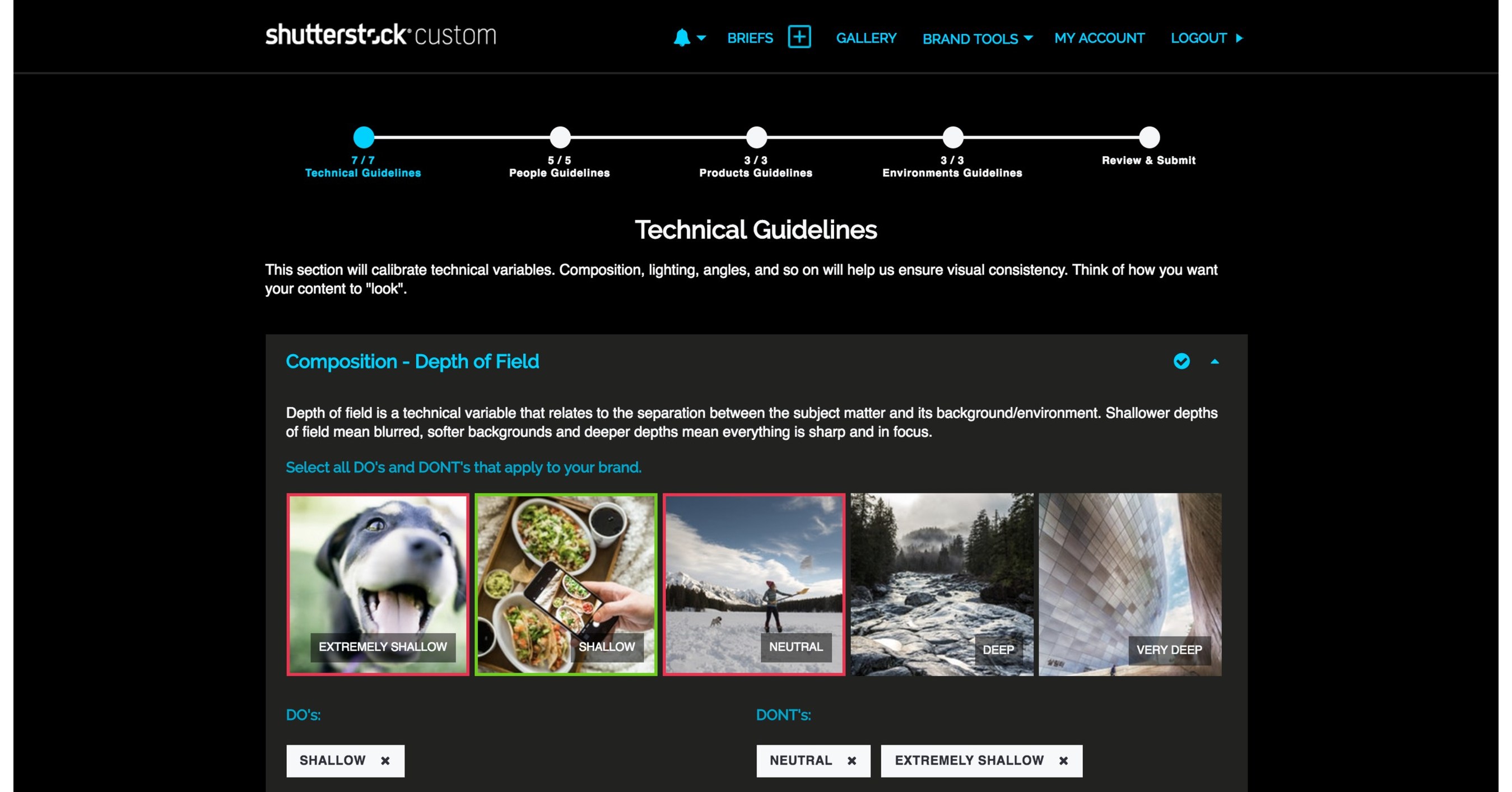 Introducing Shutterstock Custom™