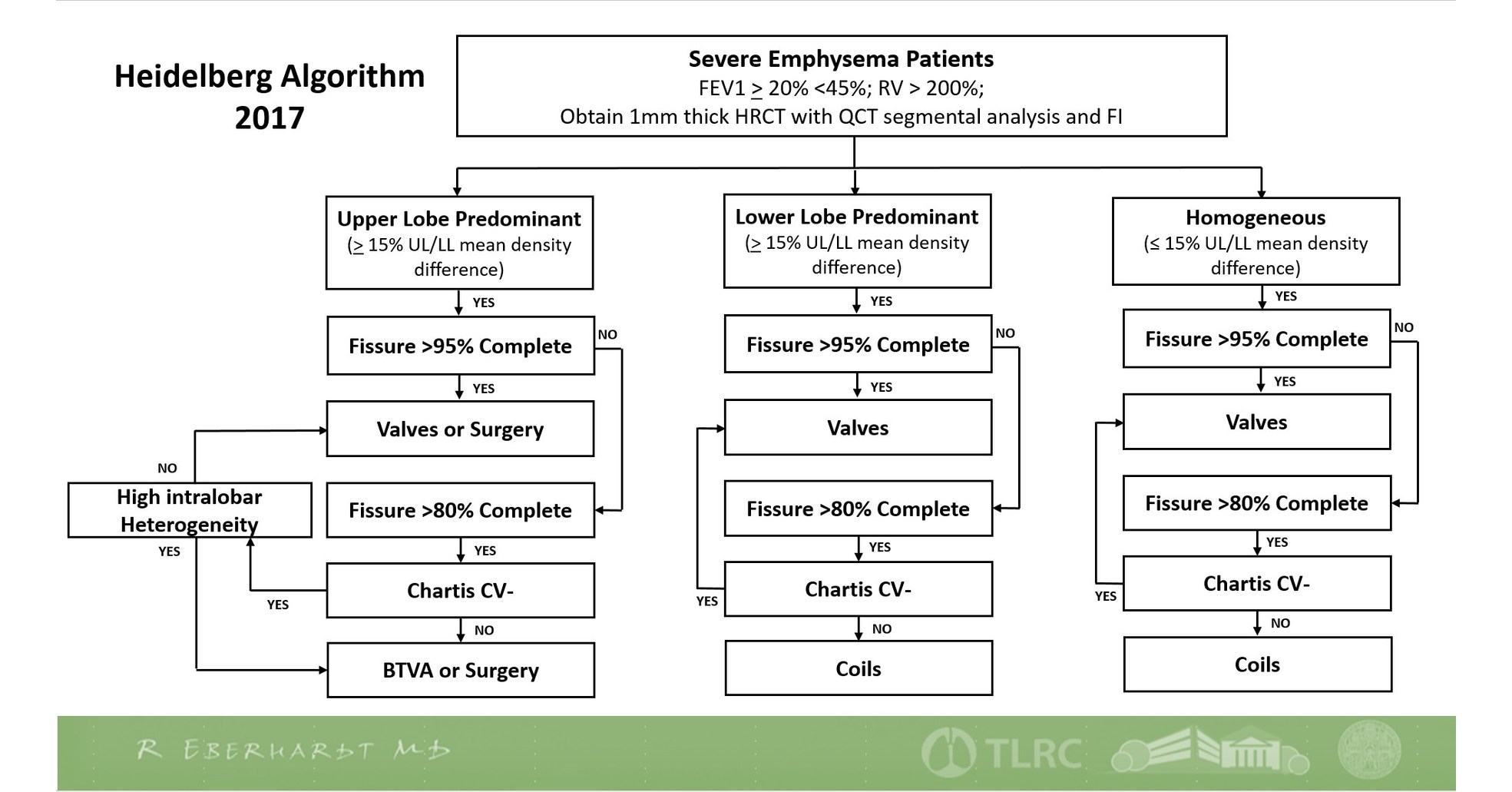 Prof. Dr. med. Ralf Eberhardt Presents "Heidelberg Algorithm" for ...