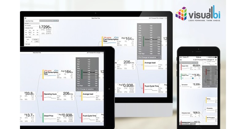 Visual BI Solutions Acquires Dolphin Dynamics Labs' Value Driver Tree