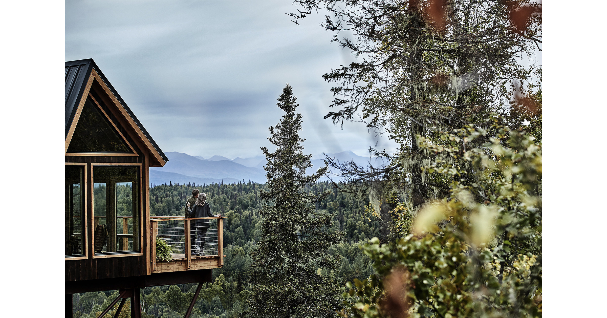 Princess Cruises Wilderness Treehouse Unveiled in Finale Episode Of ...