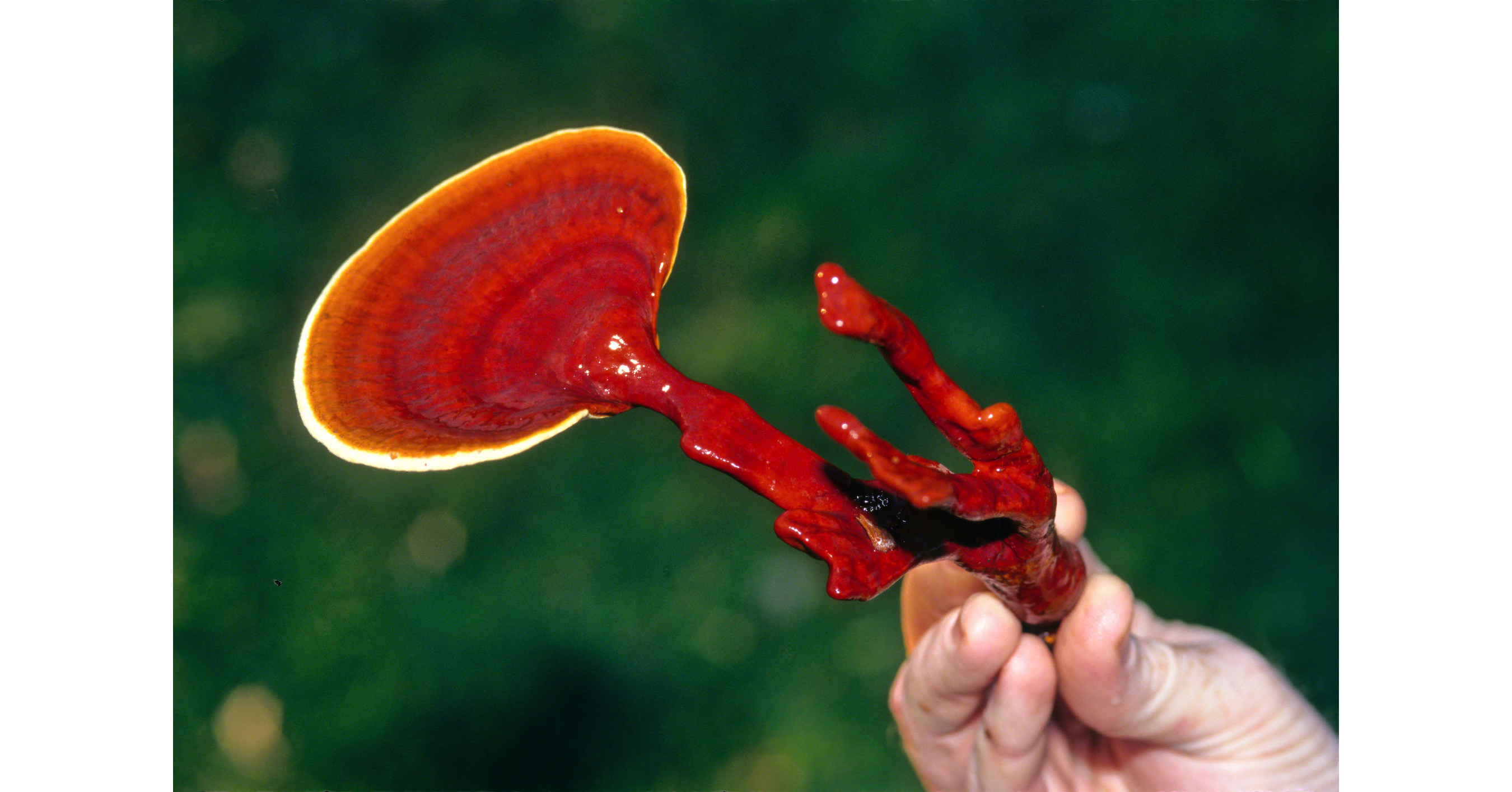 Science Leader Gains "Out of this World" Recognition