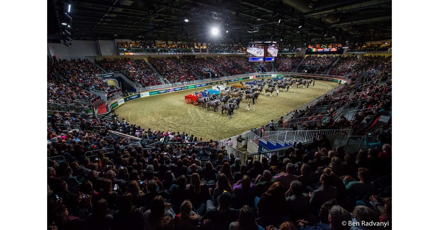 The 95th Royal Agricultural Winter Fair trots into Toronto this November