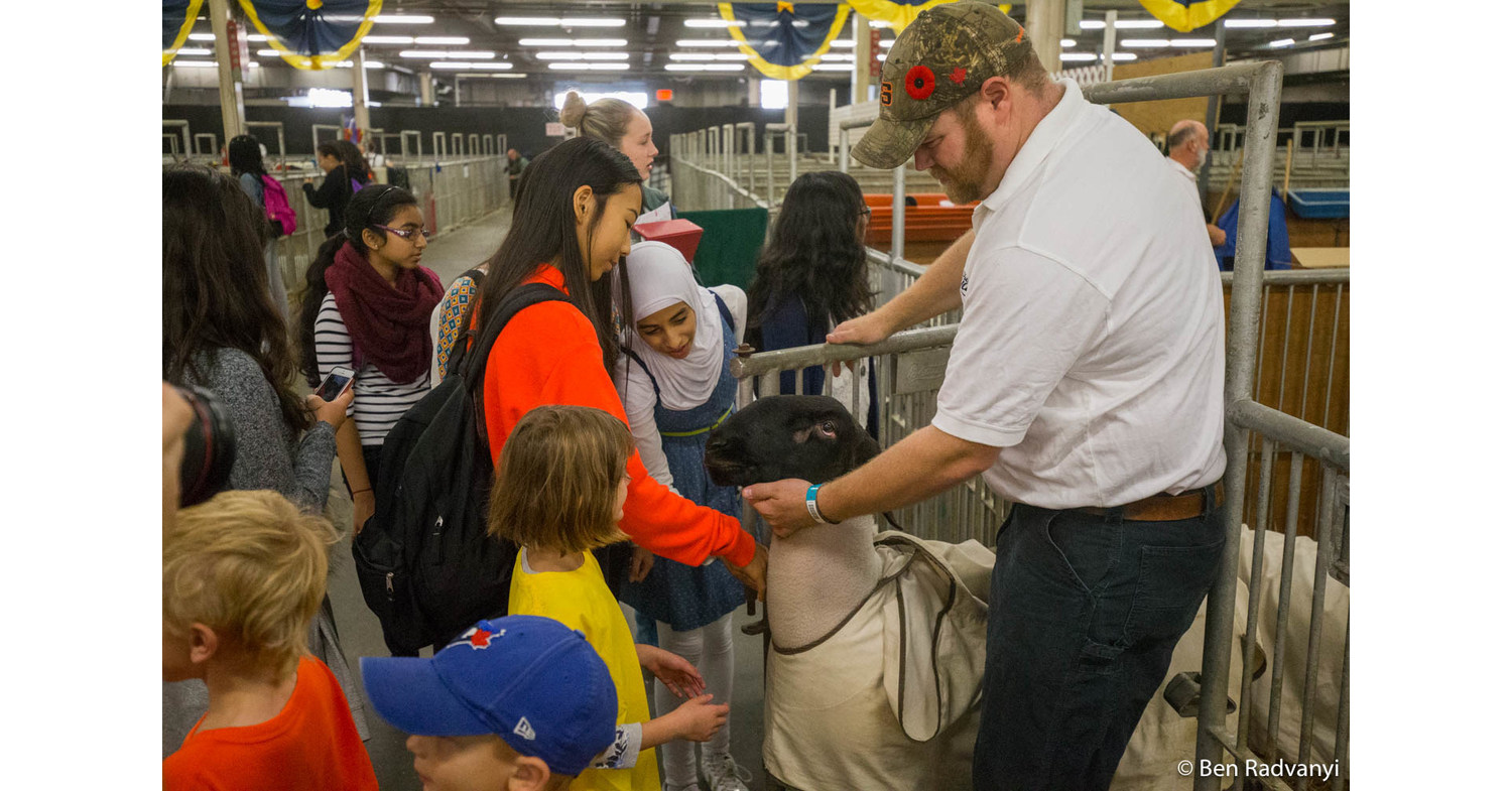The 95th Royal Agricultural Winter Fair trots into Toronto this November