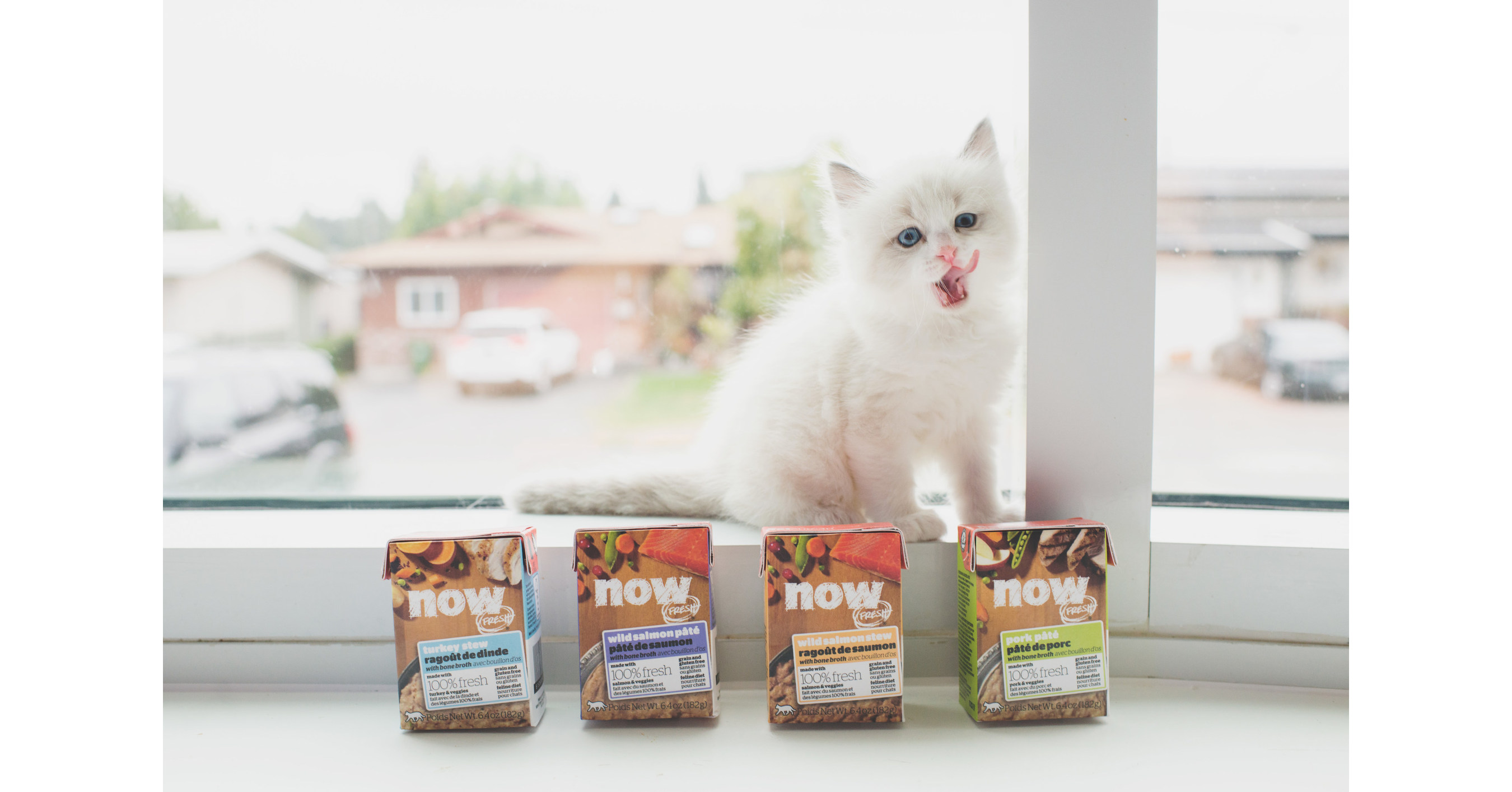 Stew Good To Be True: Petcurean Introduces Fresh, Healthy, And Oh-So ...