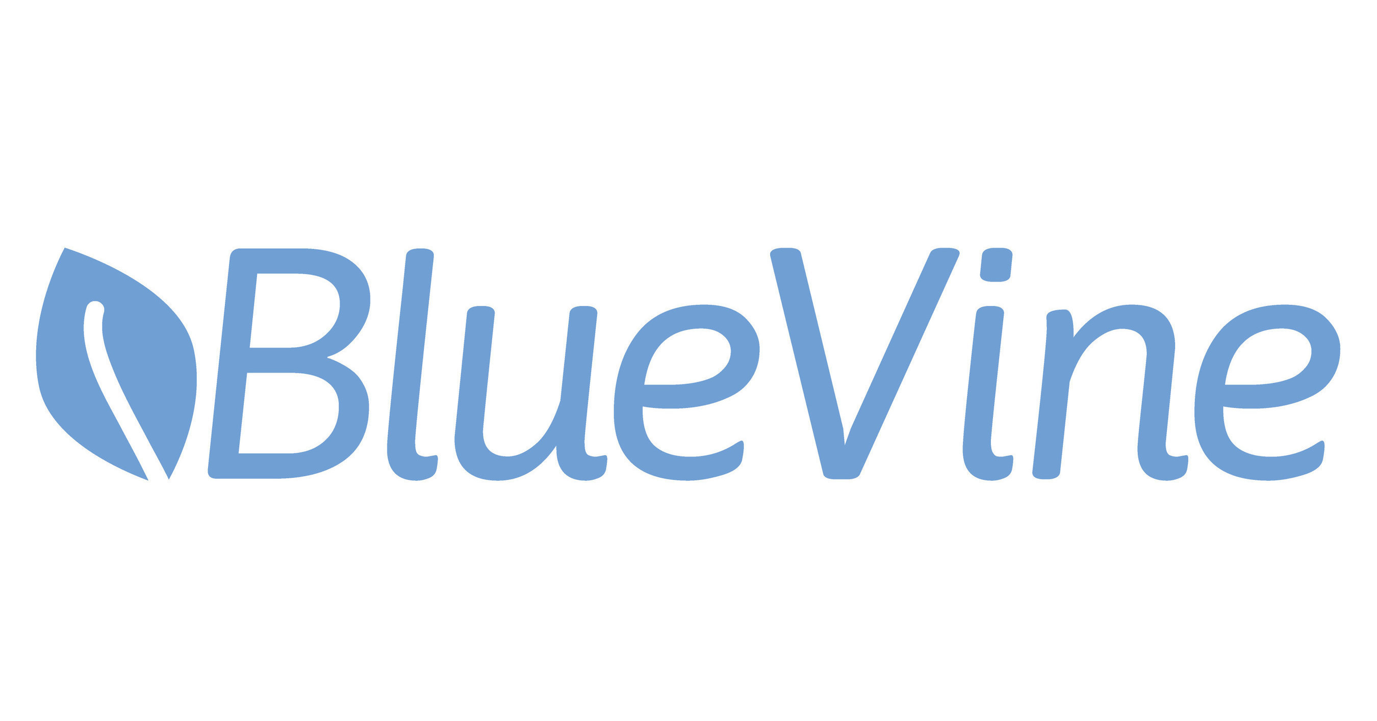 BlueVine Expands Reach With up to $130 Million in New Debt Financing ...