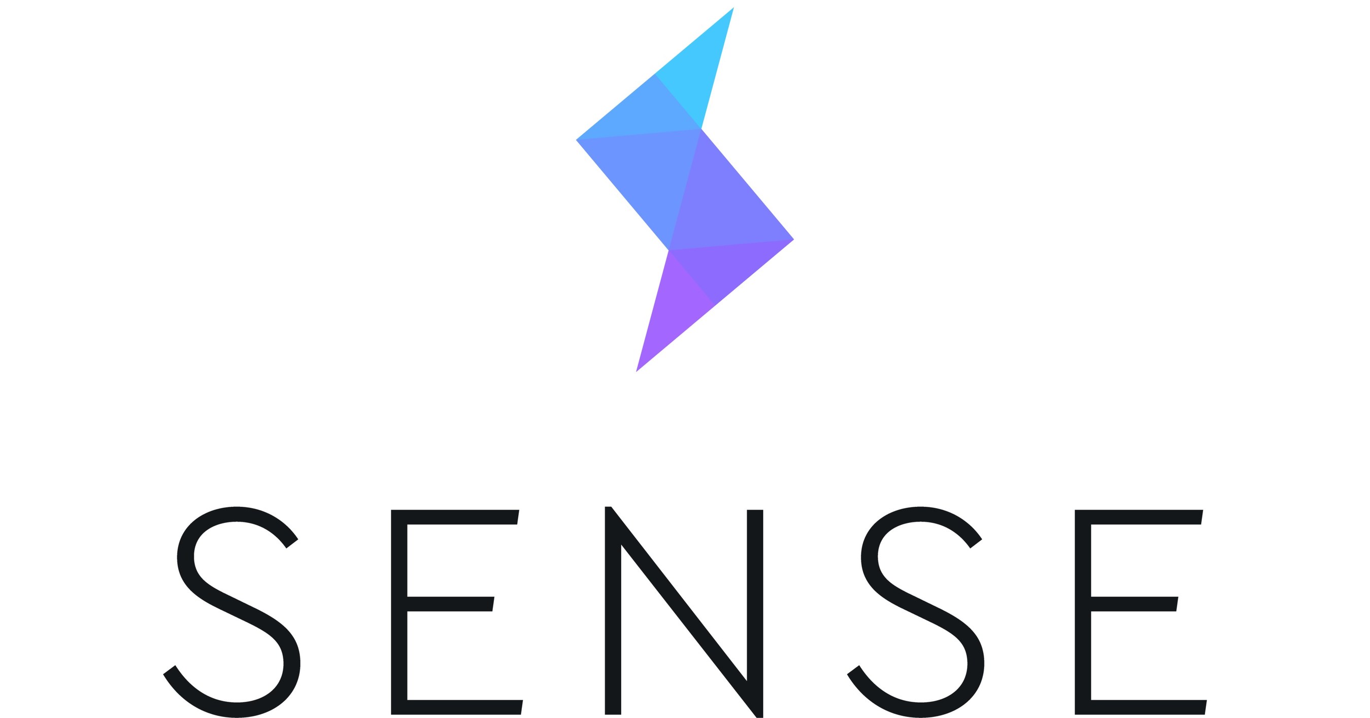 Prominent Institutional and Angel Contributors Participate in SENSE's ...