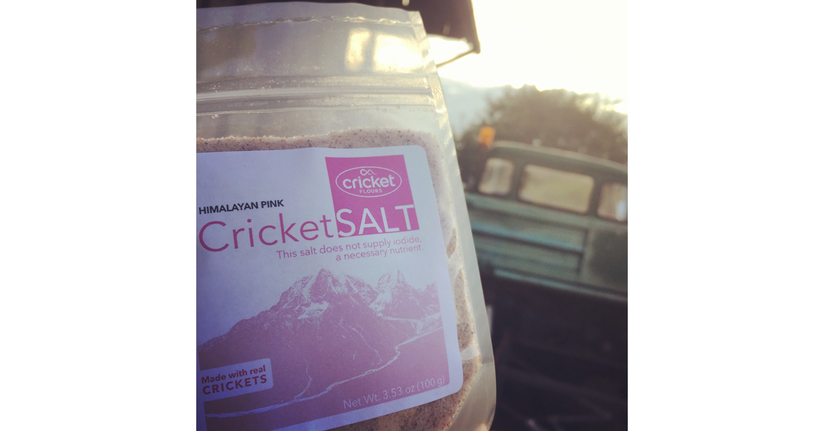 Oregon Company Launches Gourmet Salt on Kickstarter Made With Crickets