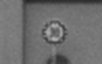 Sony Releases the Industry's Highest Resolution(*1) 7.42 Effective ...