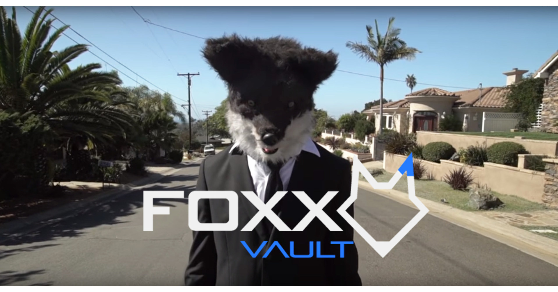 Introducing FoxxVault™: The World's First License Plate Vault