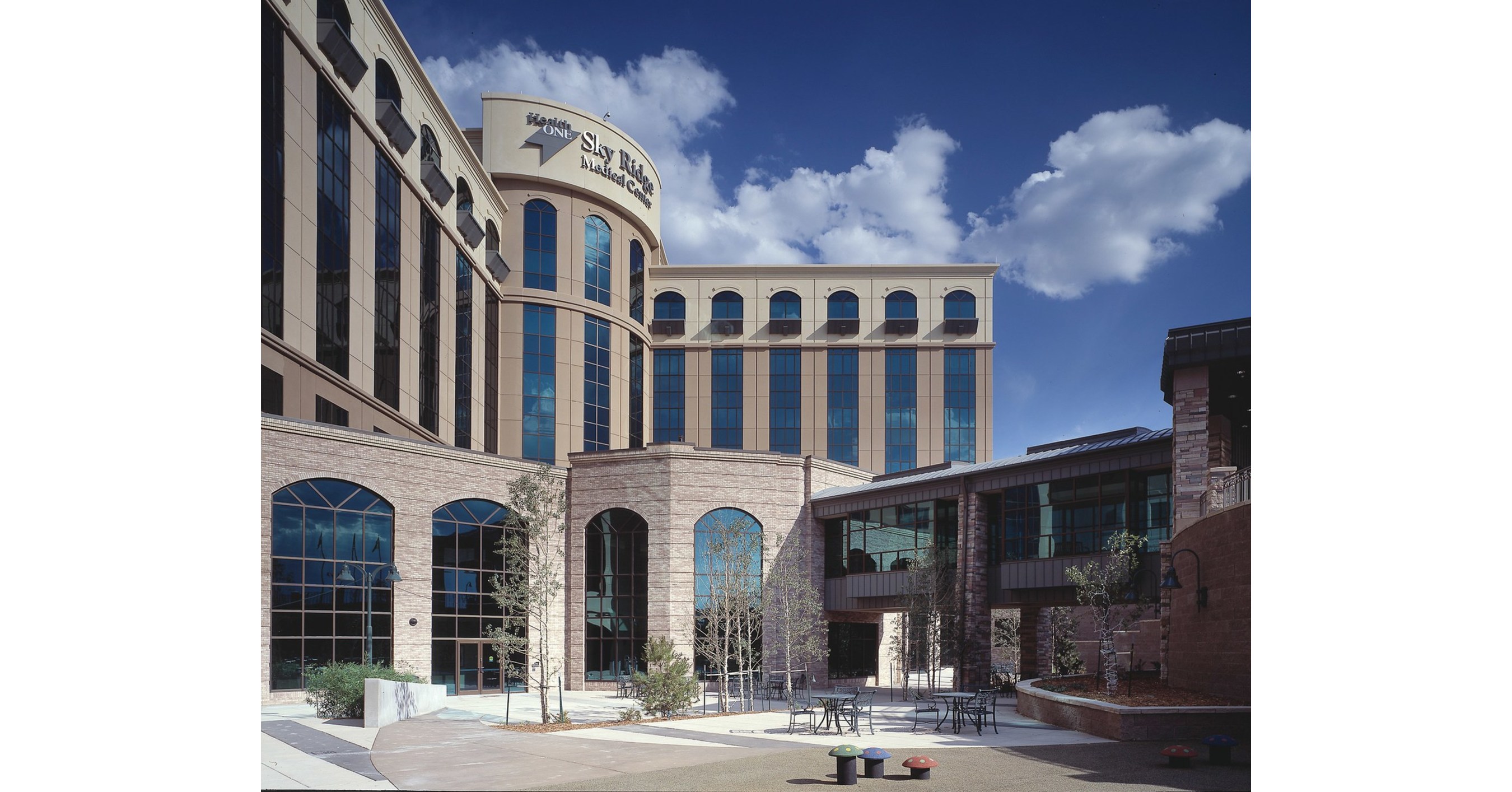 Leading health systems sign on to deliver population health management ...