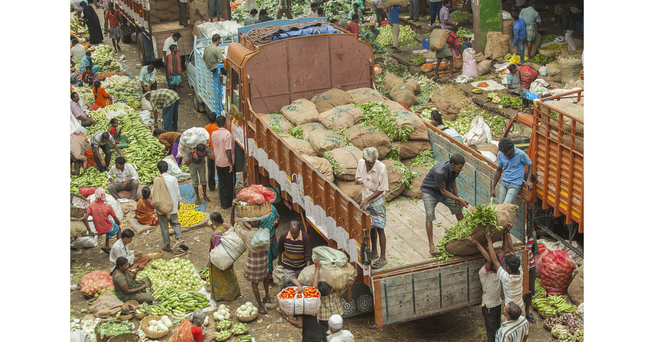 Huge Potential for Trade in South Asia Using Global Transit System